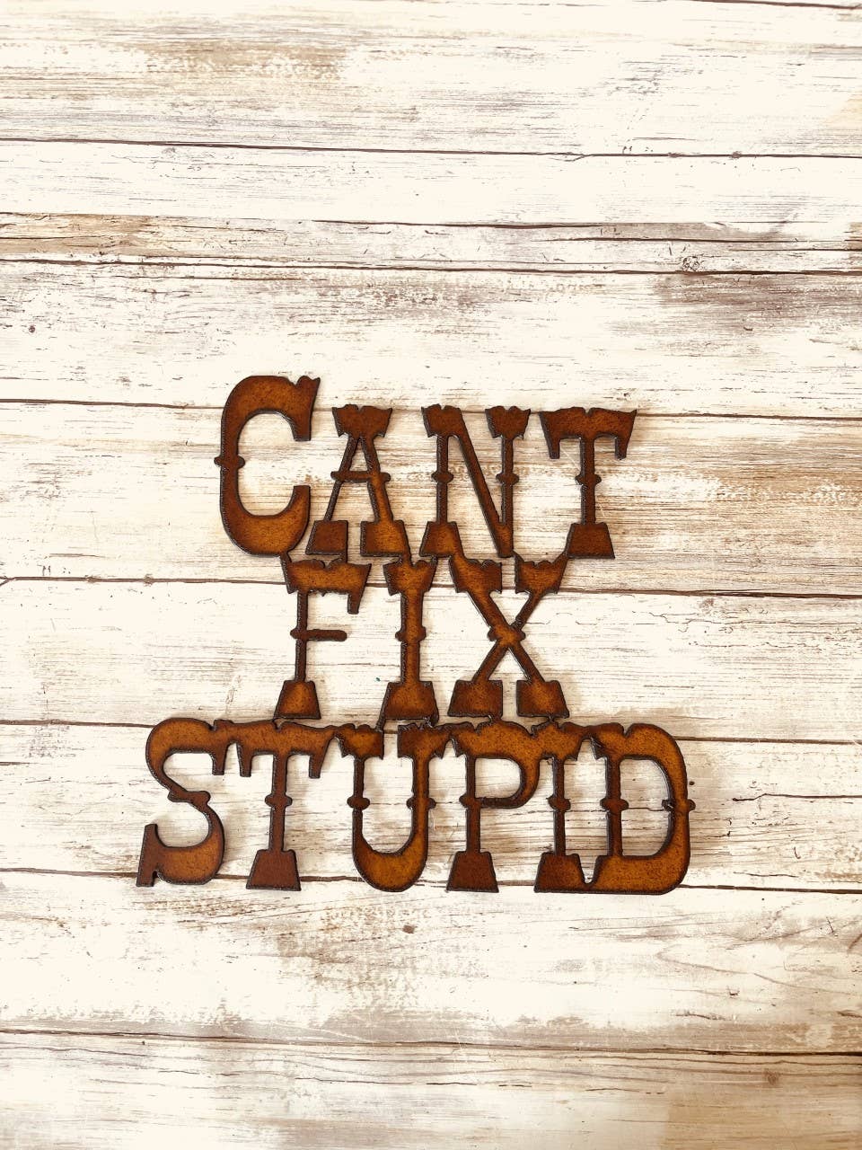 Can't Fix Stupid Rustic Metal Sign – Universal Ironworks USA